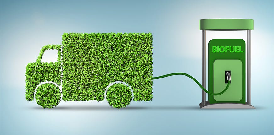 Exploring Alternative Fuels for Sustainable Driving - SustainabilityInCars